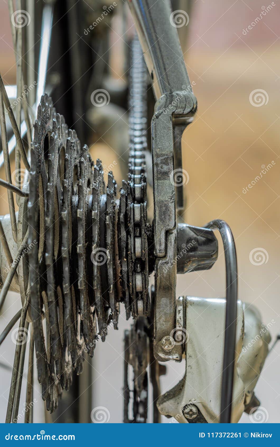 Rear Bicycle Transmission with Chain Stock Image - Image of close ...
