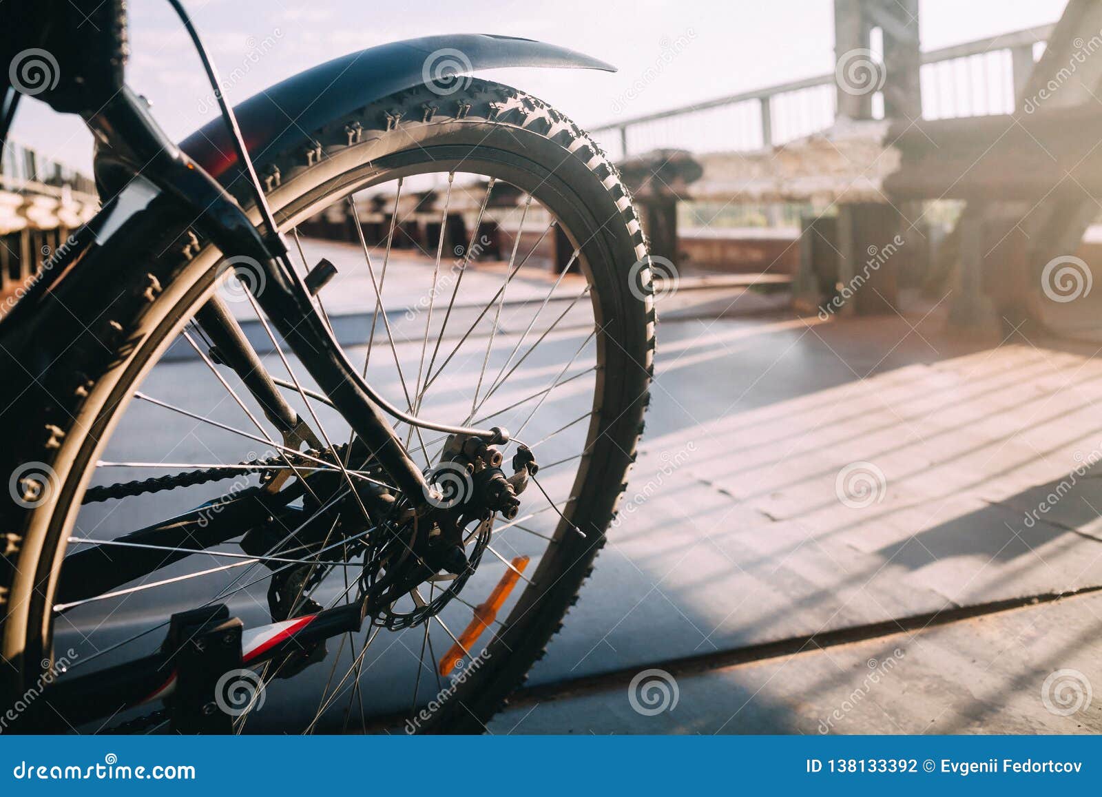 Rear Bicycle Wheel with a Wing in the Sun Stock Photo - Image of biker ...