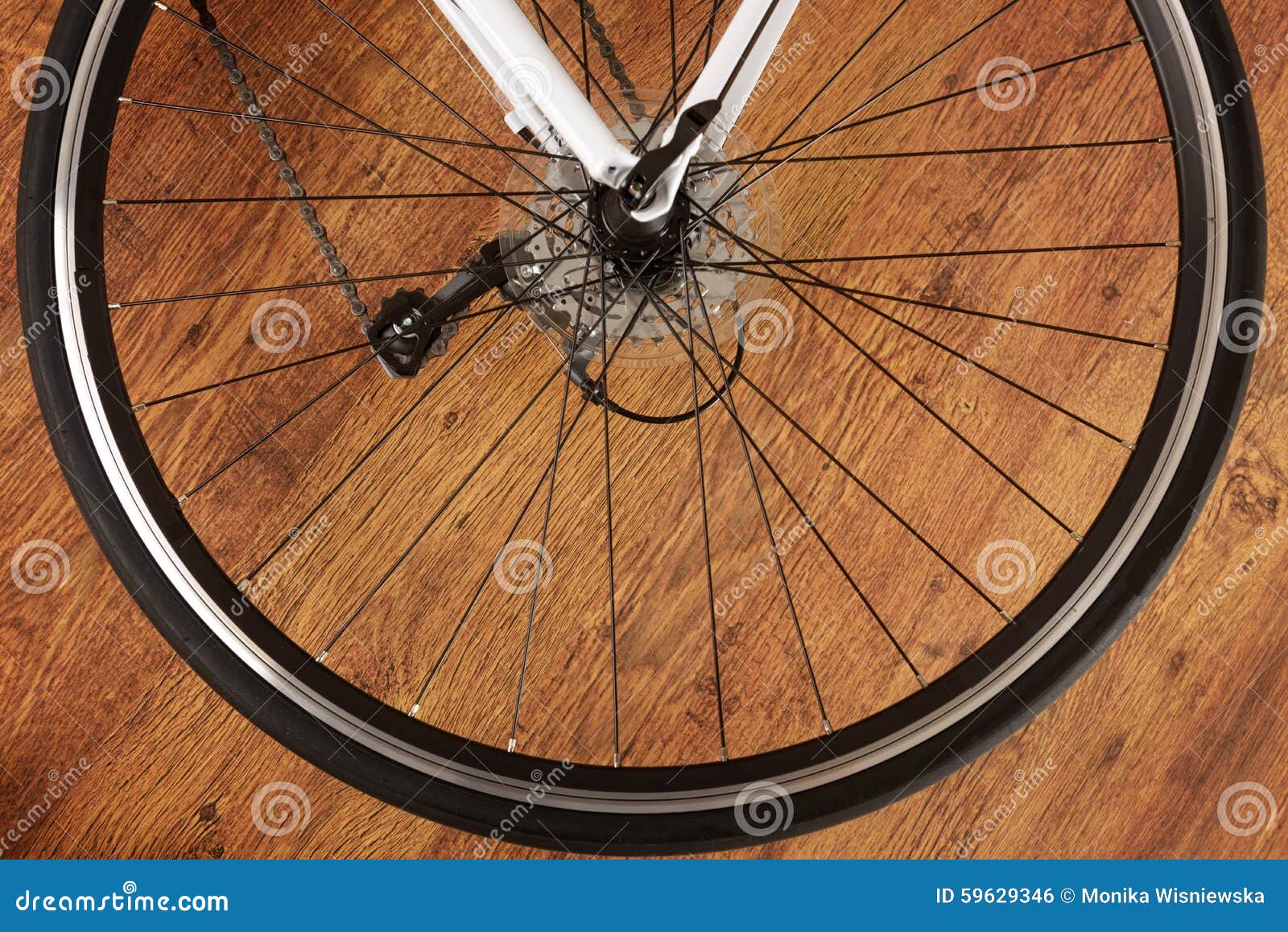 Rear bicycle wheel stock photo. Image of cycling, cassette - 59629346