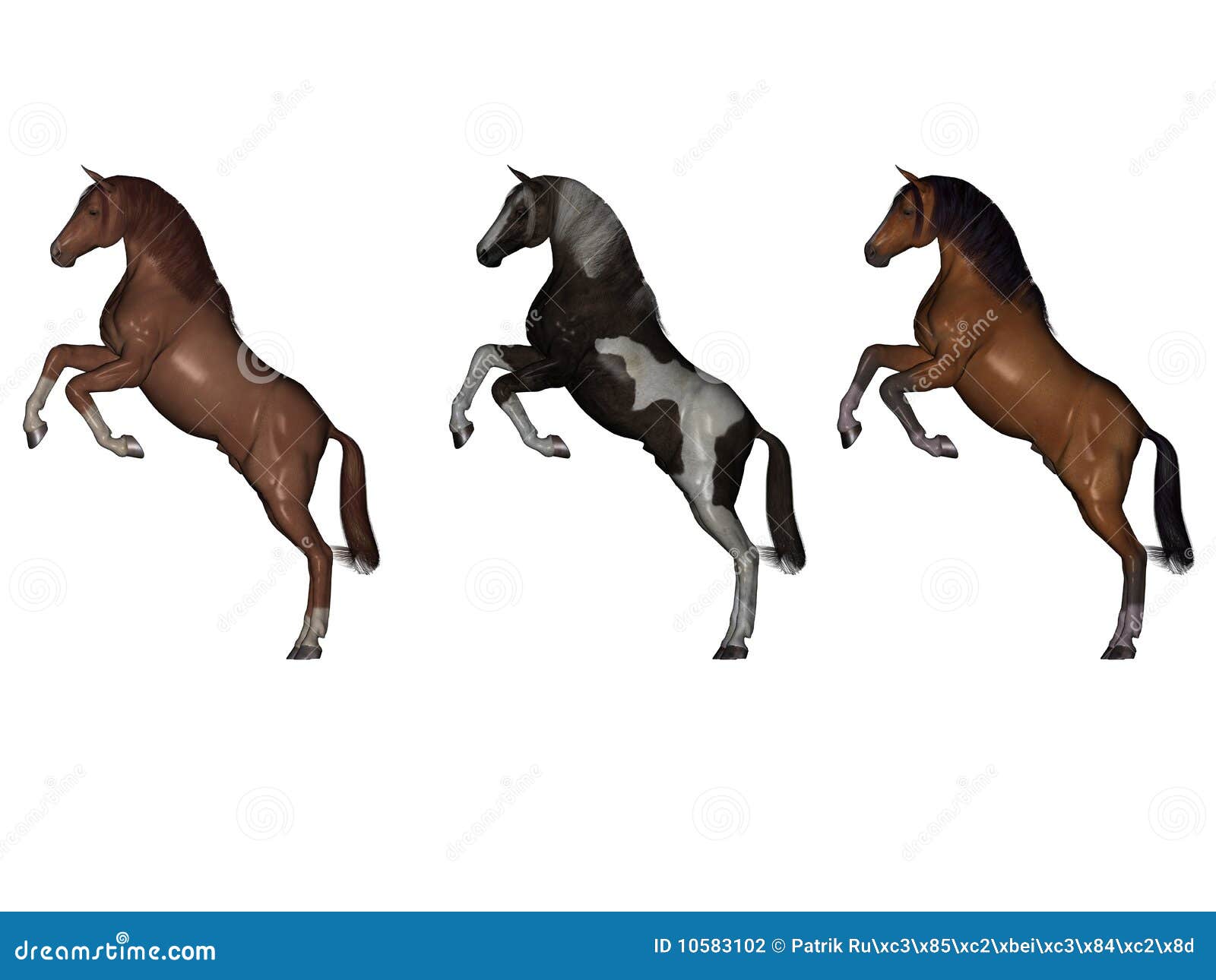 Two Rear Horses Cartoon Vector | CartoonDealer.com #15564685