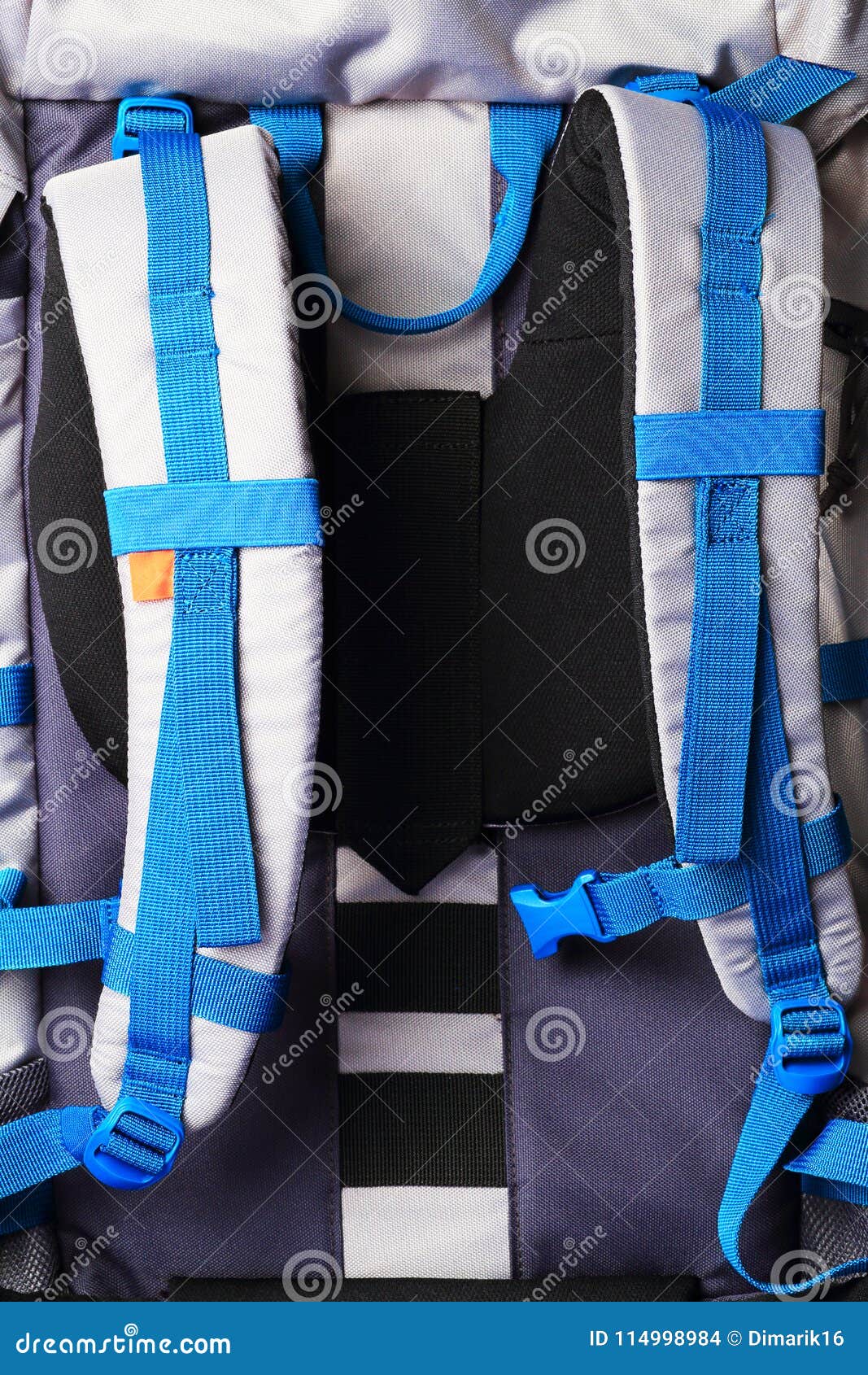 Modern Backpack For Daily Life. Teen Fashion. Schoolgirl Street Style ...