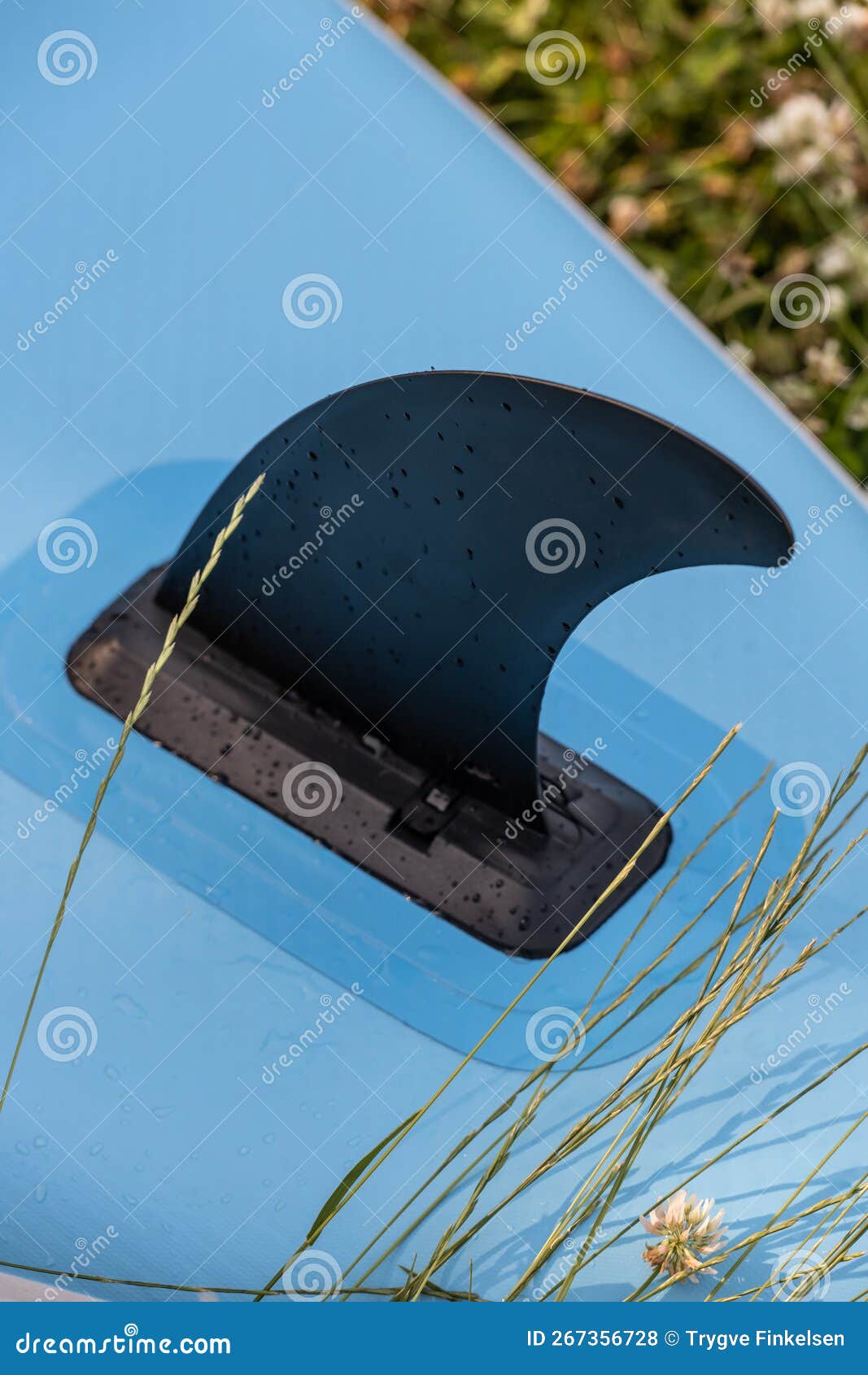 Rear Steering Fin of a Blue SUP Board.. Stock Photo - Image of bosna ...