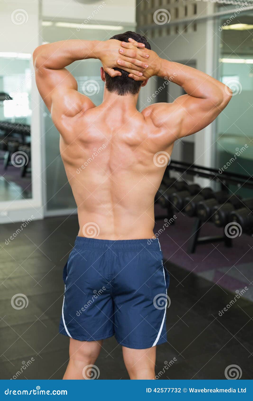 Rear View of a Bodybuilder in Gym Stock Photo - Image of indoors ...