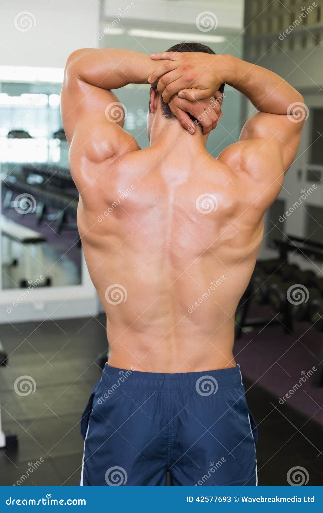 Rear View of Bodybuilder Posing in Gym Stock Image - Image of athletic ...