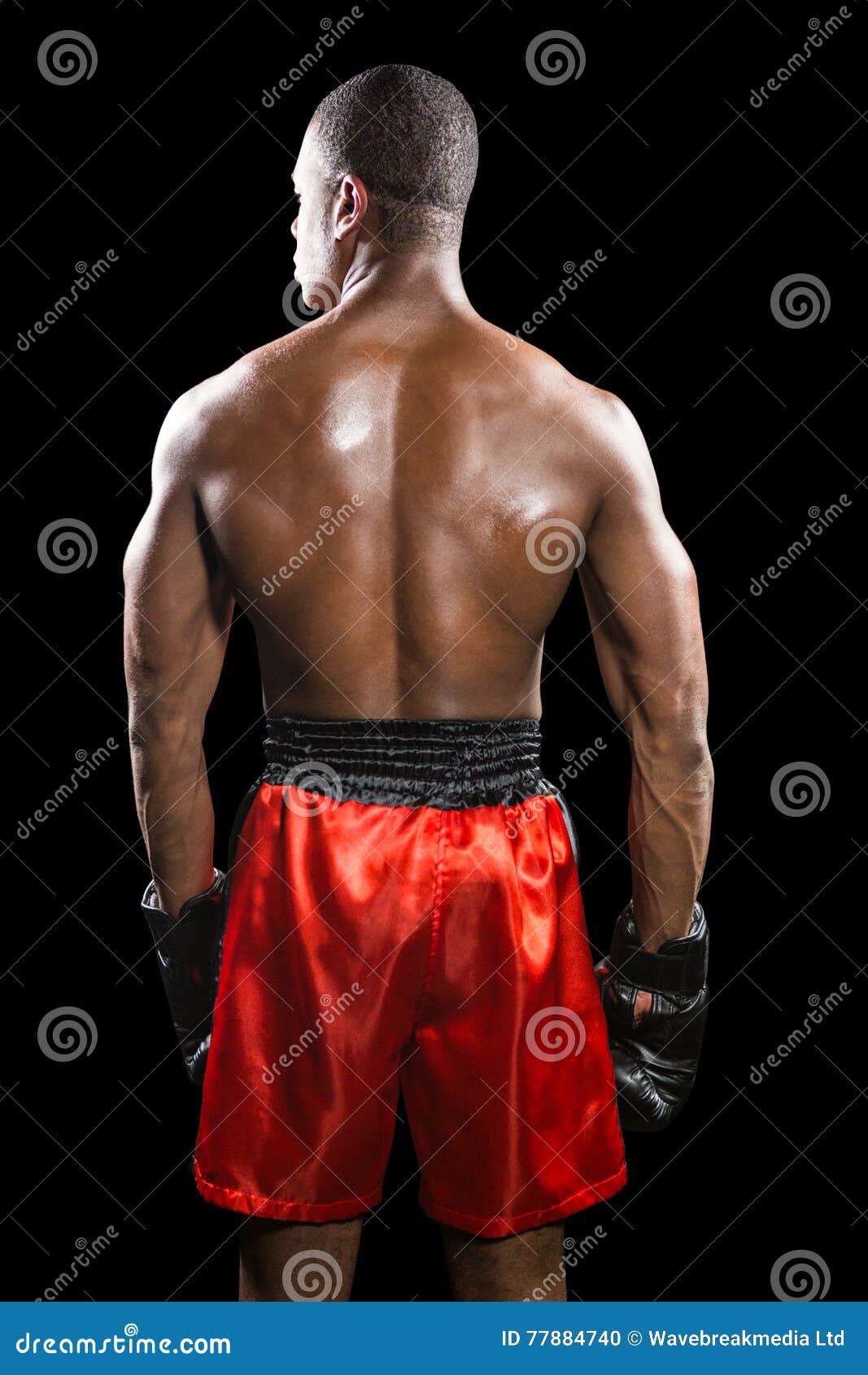 Rear View of Boxer Standing Stock Photo - Image of determination ...
