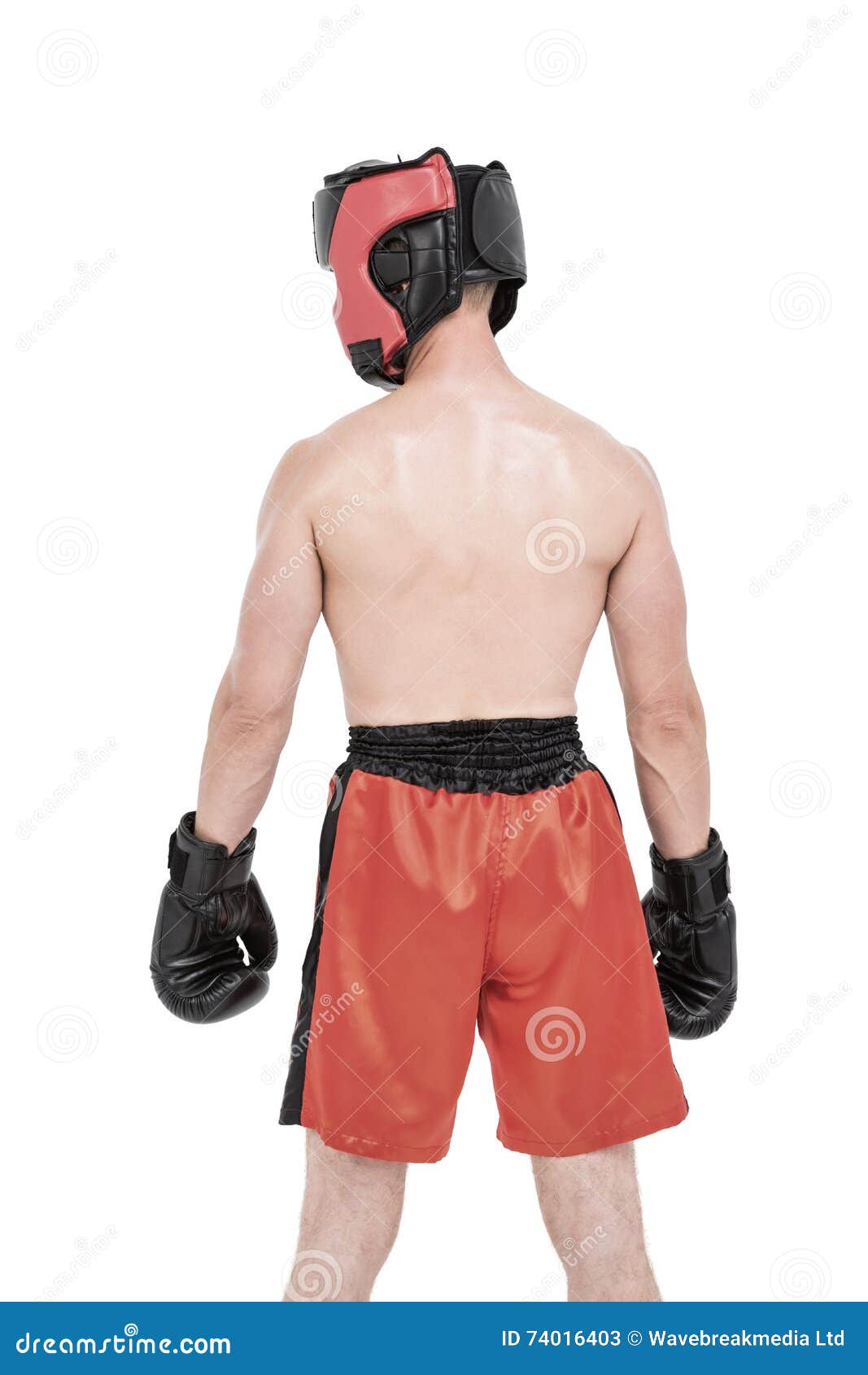 Rear View of Boxer Standing Stock Image - Image of sporty, strong: 74016403