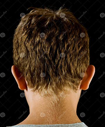 Rear view, boy s head stock photo. Image of neck, nape - 10525428