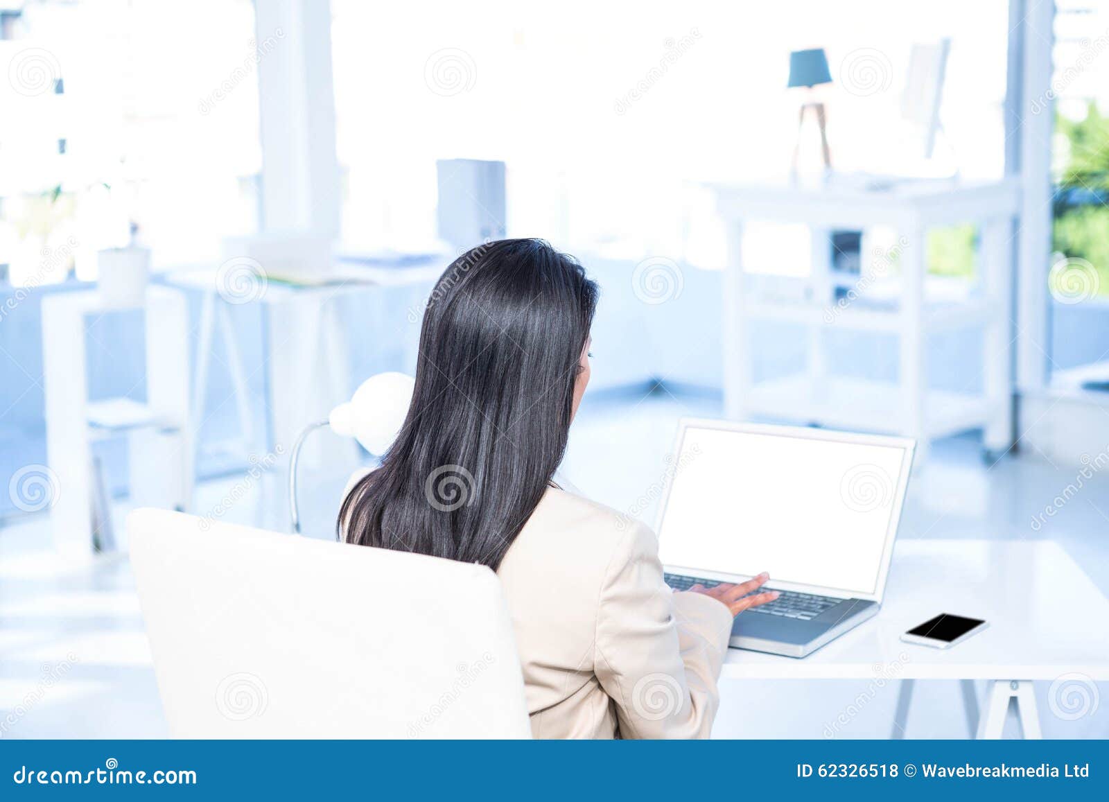 Rear View of Businesswoman Using Laptop Stock Photo - Image of planning ...