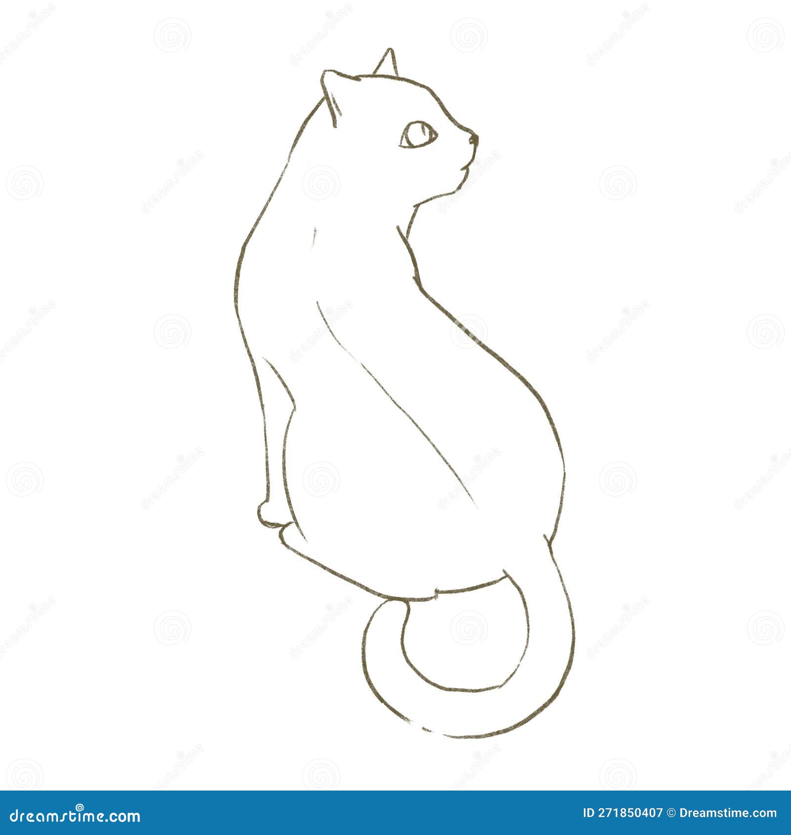 The Rear View of the Cat Sitting on the Floor Looking To the Right ...