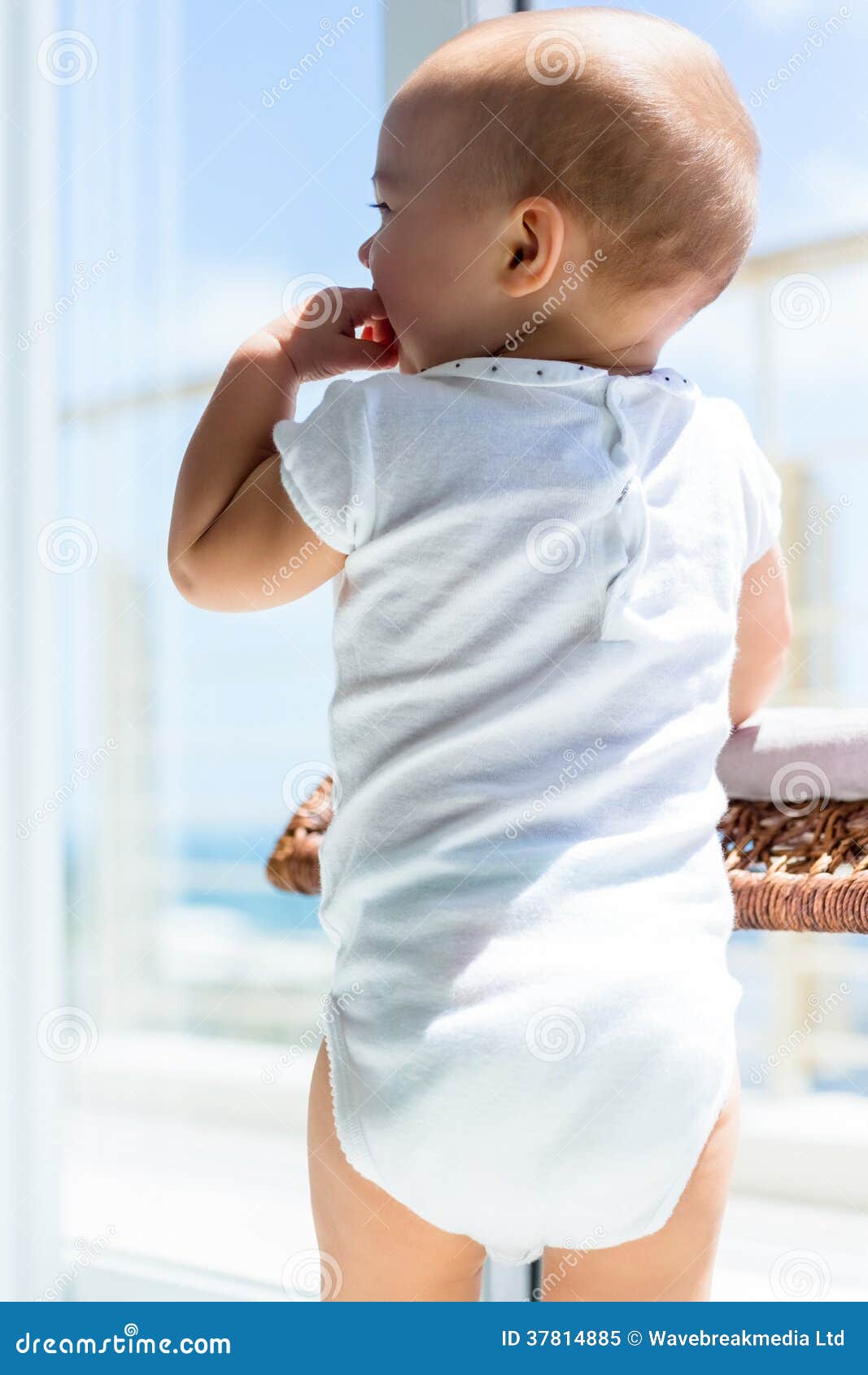 Rear view of a cute baby stock image. Image of cute, healthy - 37814885