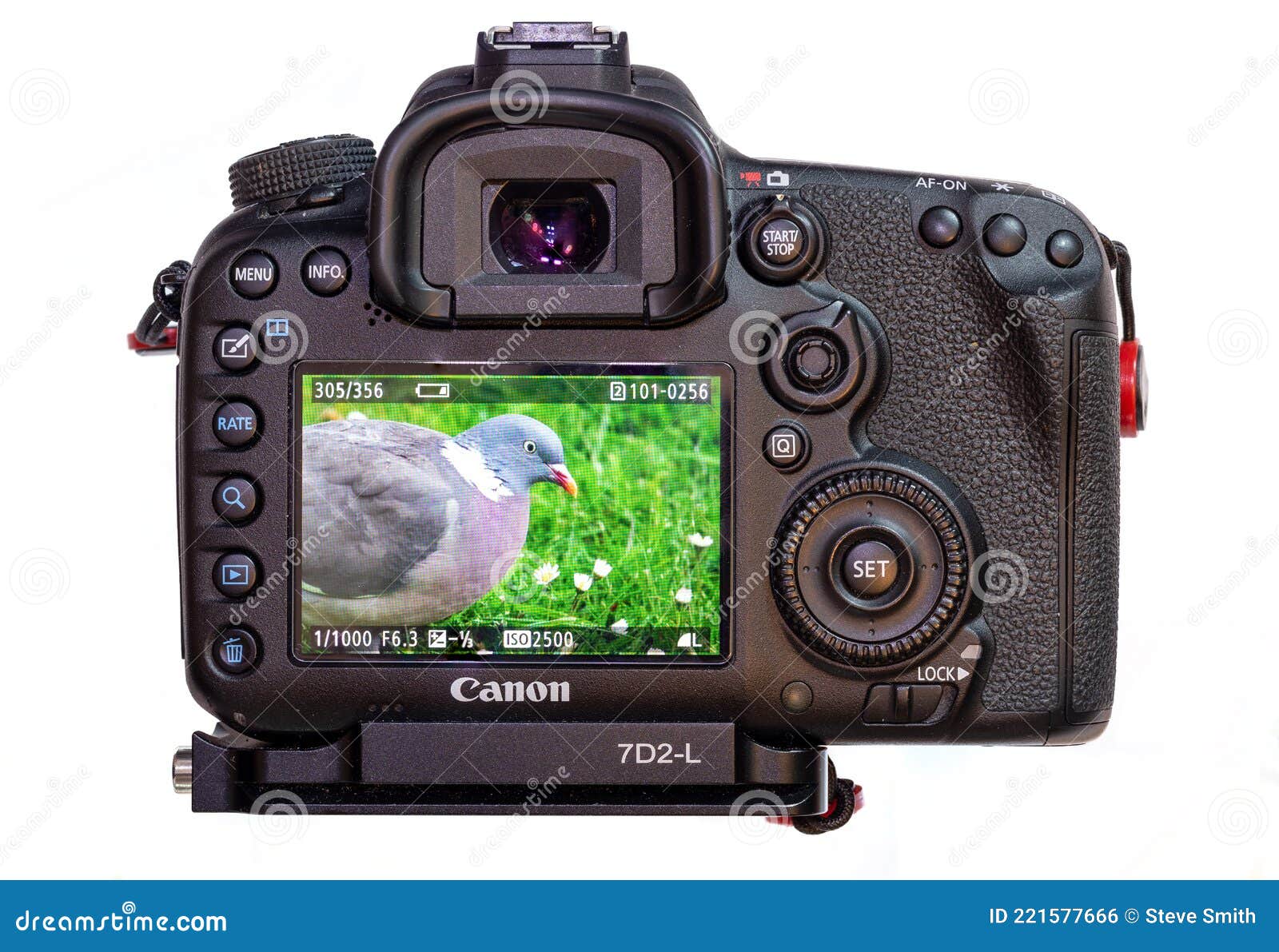Canon Dlsr Stock Photos - Free & Royalty-Free Stock Photos from Dreamstime