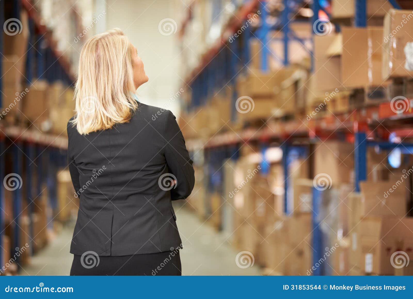 Rear View of Female Manager in Warehouse Stock Photo - Image of packing ...