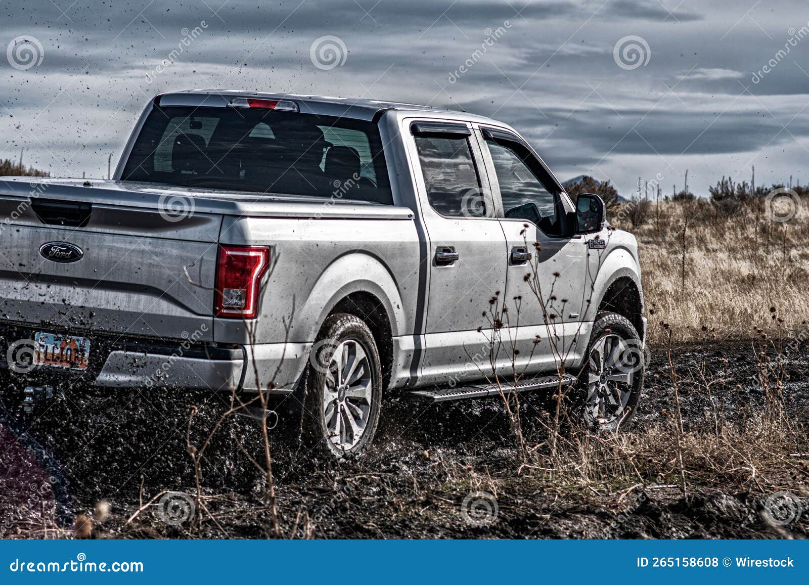 Rear View of a Ford F150 Parked in a Field on a Cloudy Day Editorial ...