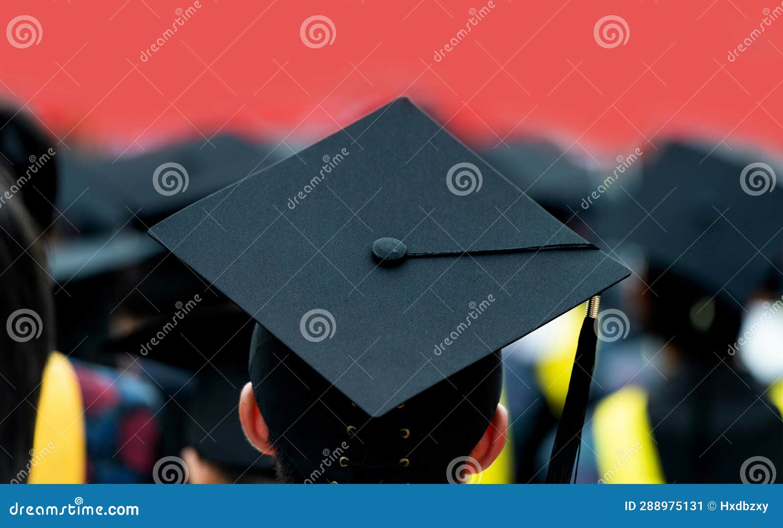 Graduation Day, Back View, Student In A Graduation Cap And Dress With A ...
