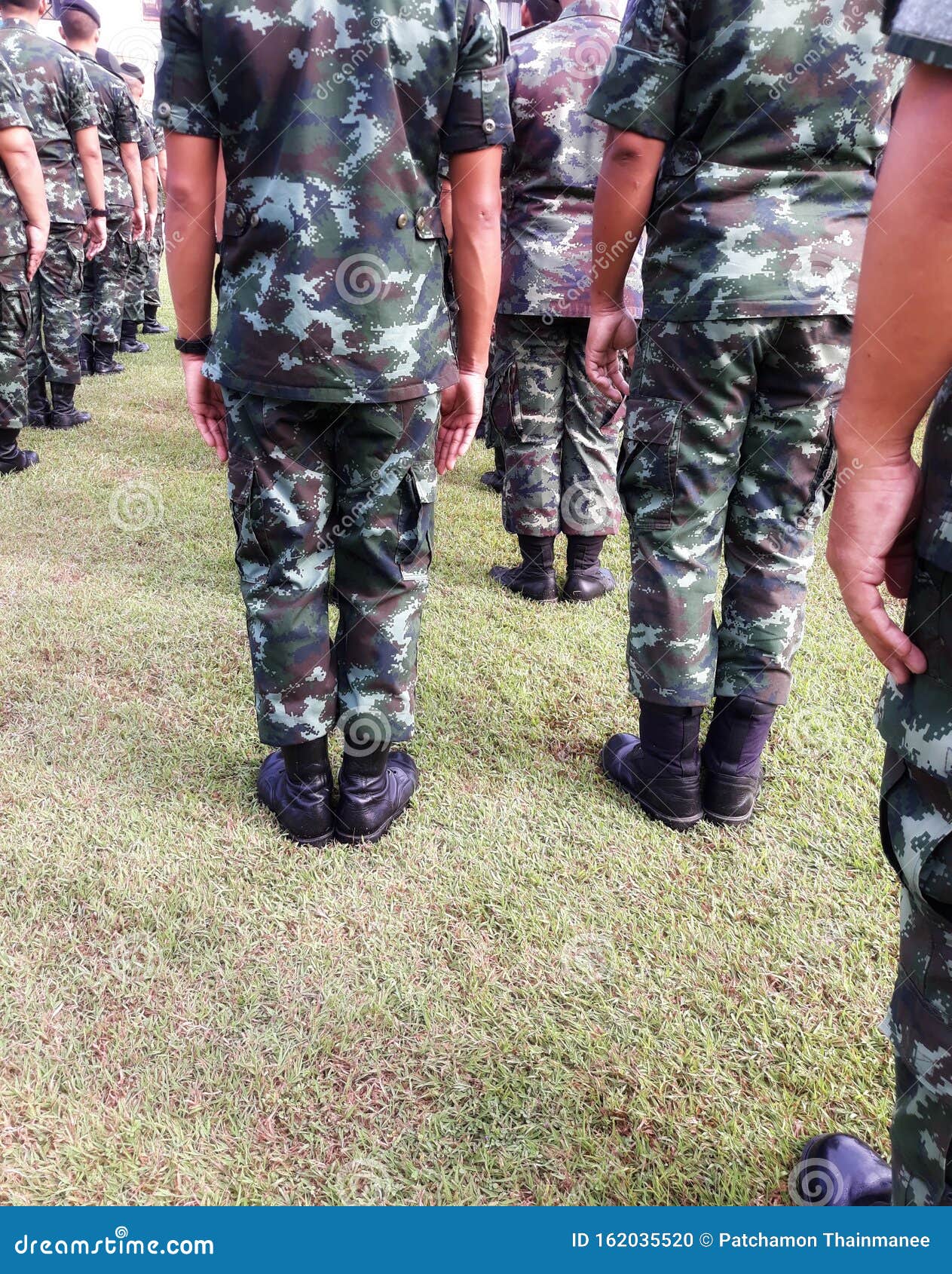 Rear View of a Group of Soldiers Standing in Line Outdoors on the Lawn ...