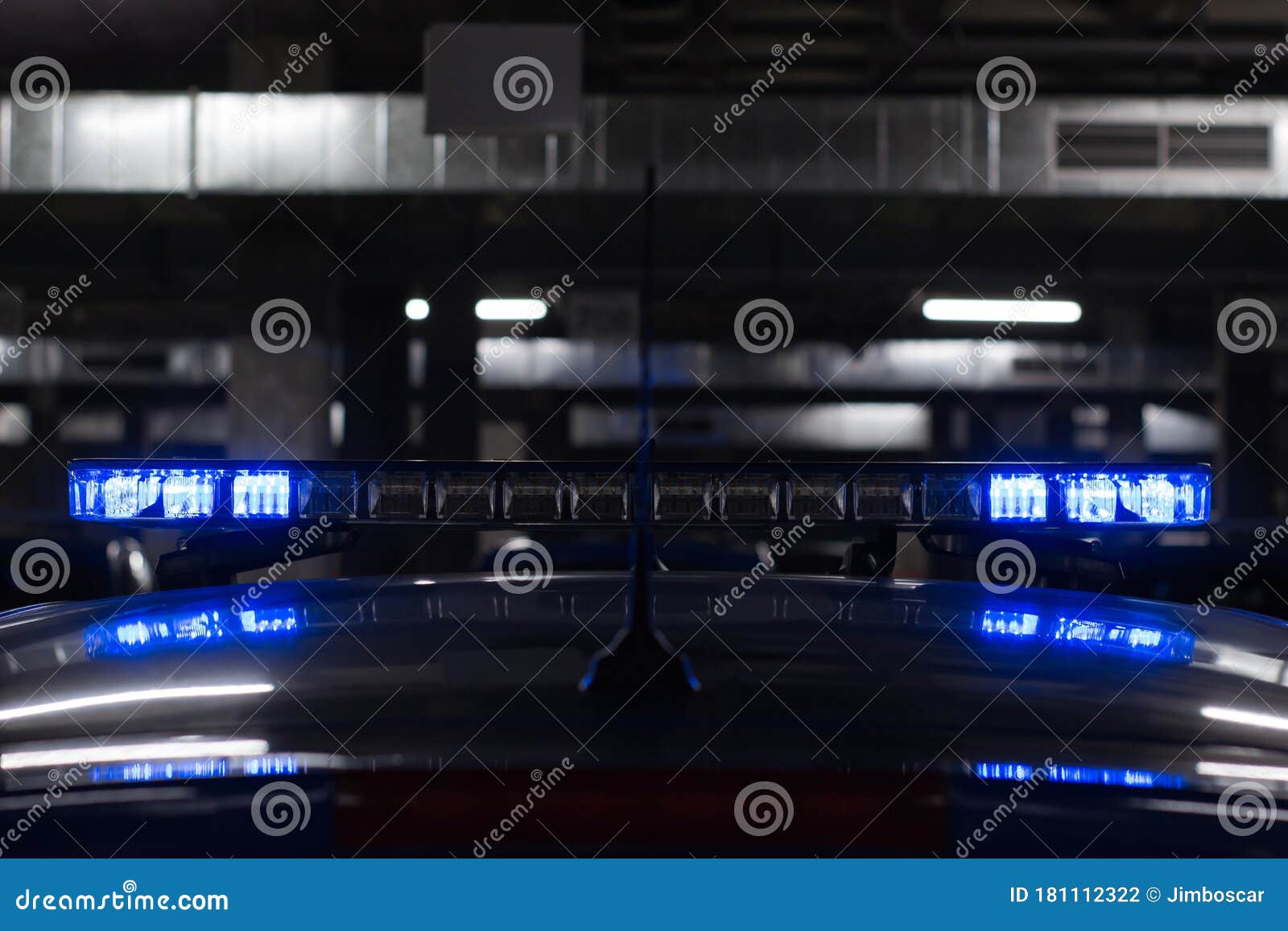 Rear View of the Lights of a Police Car in Blue Stock Photo - Image of ...