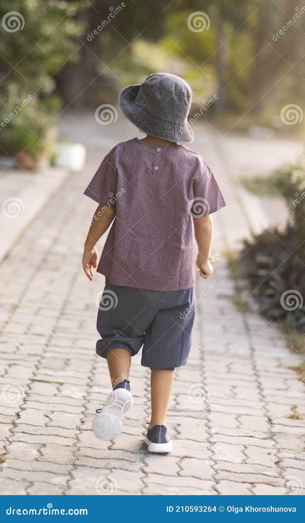 Rear View of a Little Cute Boy Walking Stock Photo - Image of fashion ...