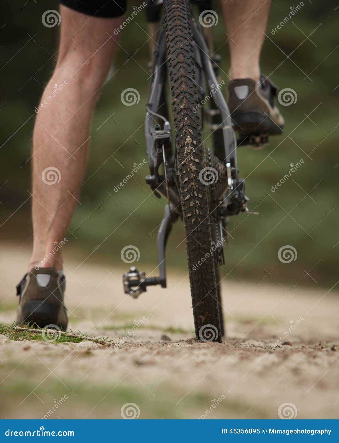 Rear View Low Angle Man Legs on Mountain Bike Stock Image - Image of ...
