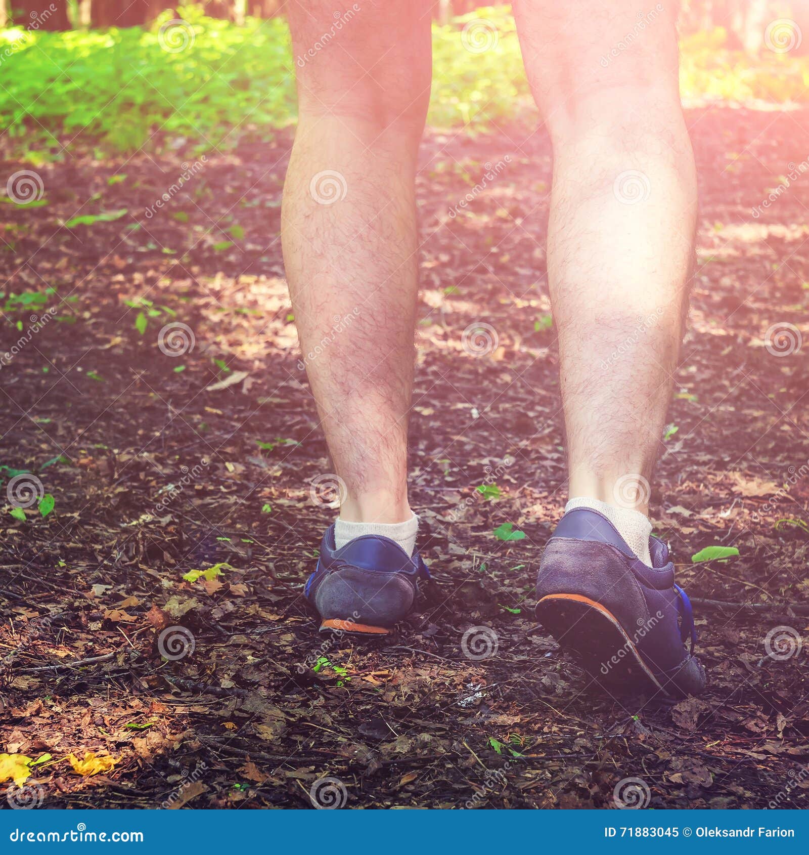 Rear View Low Angle View of Man Legs, Walking in Forest. Stock Image ...
