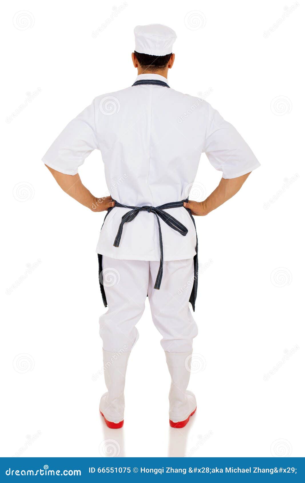 Rear view male chef stock image. Image of back, adult - 66551075