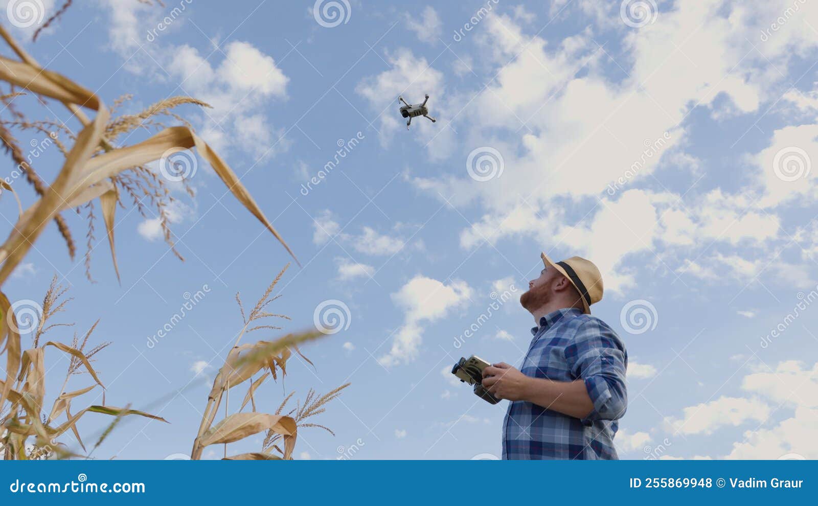 Rear View of a Man Farmer Standing in Field and Controlling of Drone ...