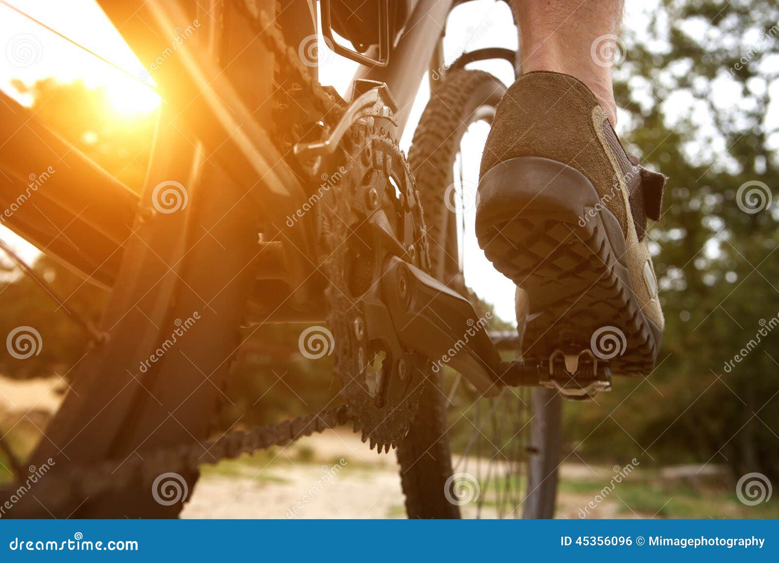 Rear View Man Peddling Bike Stock Photo - Image of fitness, closeup ...