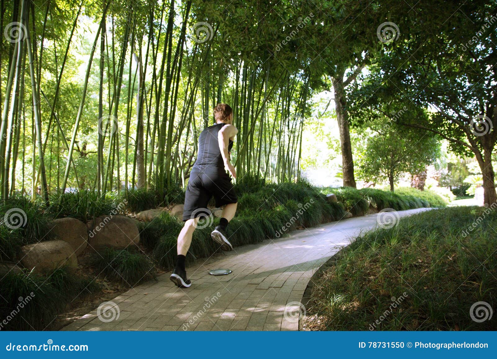 Rear View of Man Running in Park Stock Photo - Image of outdoors, path ...