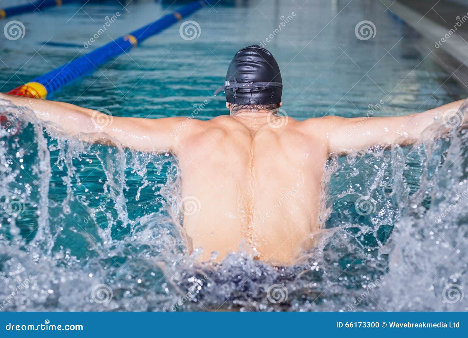 Rear view of man swimming stock photo. Image of hair - 66173300