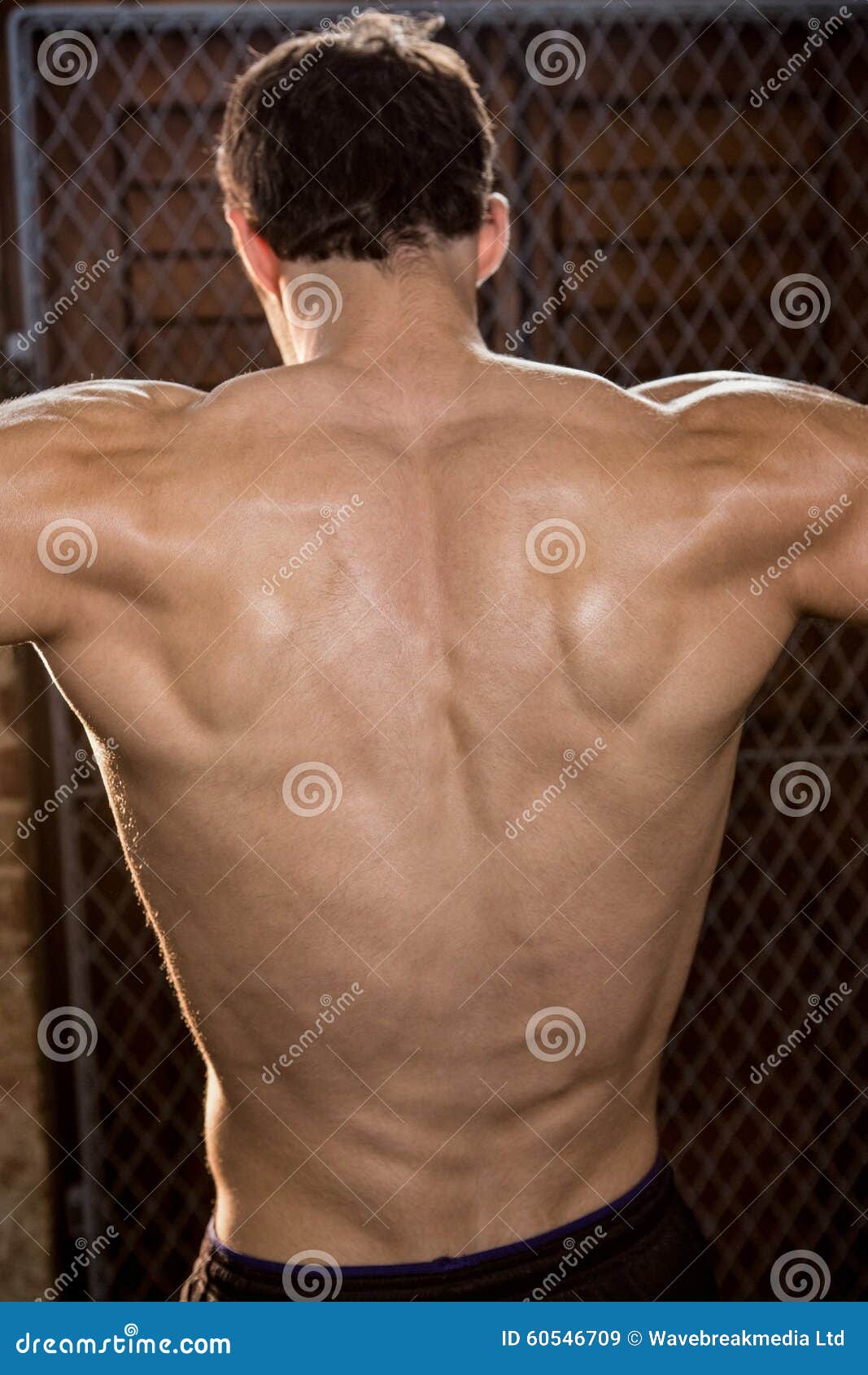 Rear view of muscular man stock image. Image of fitness - 60546709