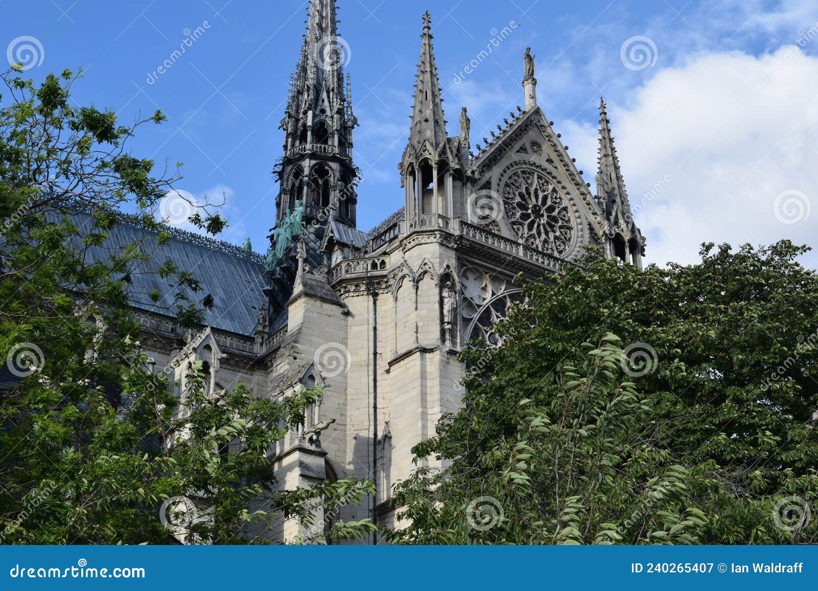 Rear Detail of Notre Dame Cathedral, Paris Stock Image - Image of ...