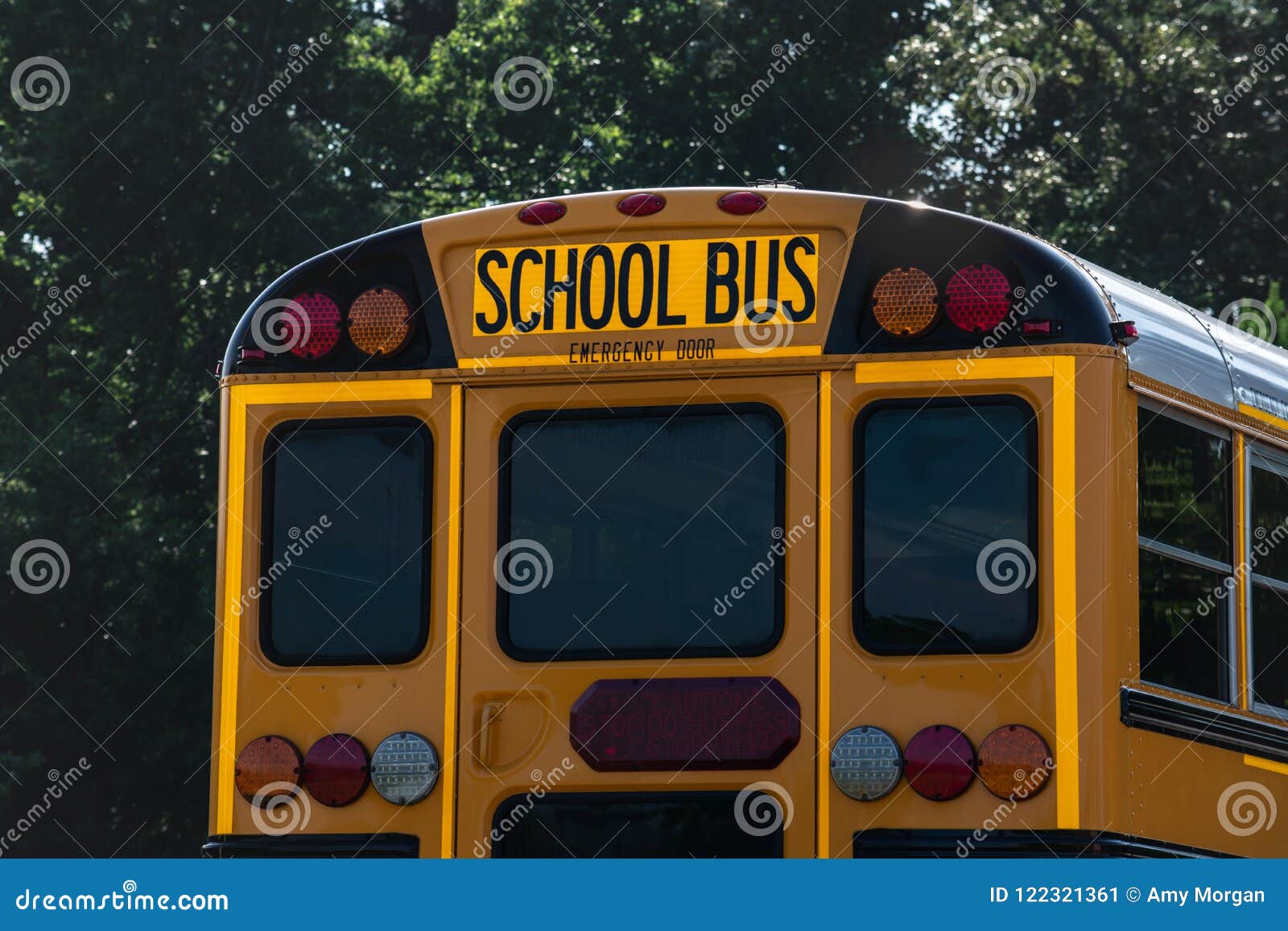 Back to School stock image. Image of school, back, close - 122321361