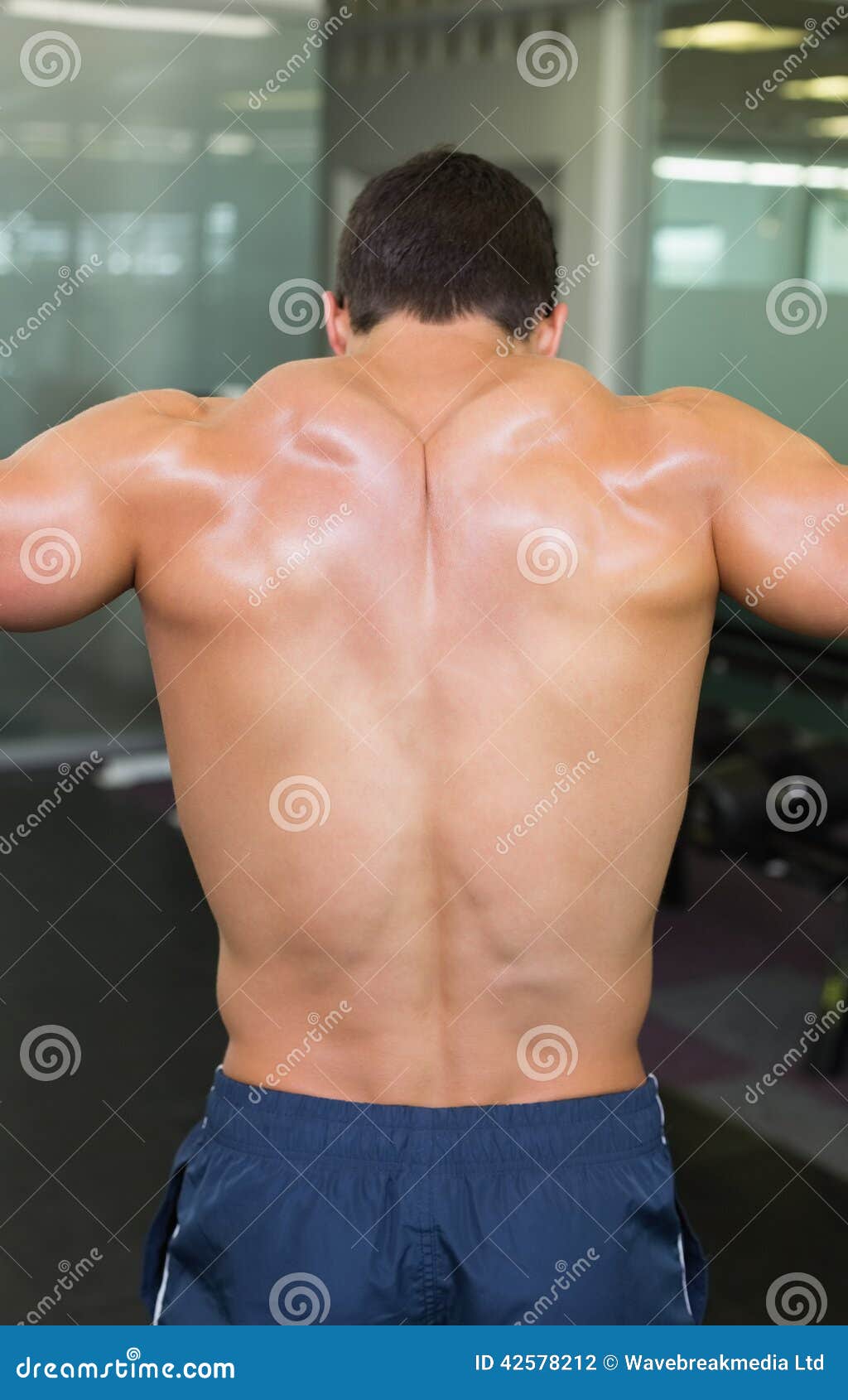 Rear View of a Shirtless Bodybuilder in Gym Stock Photo - Image of ...