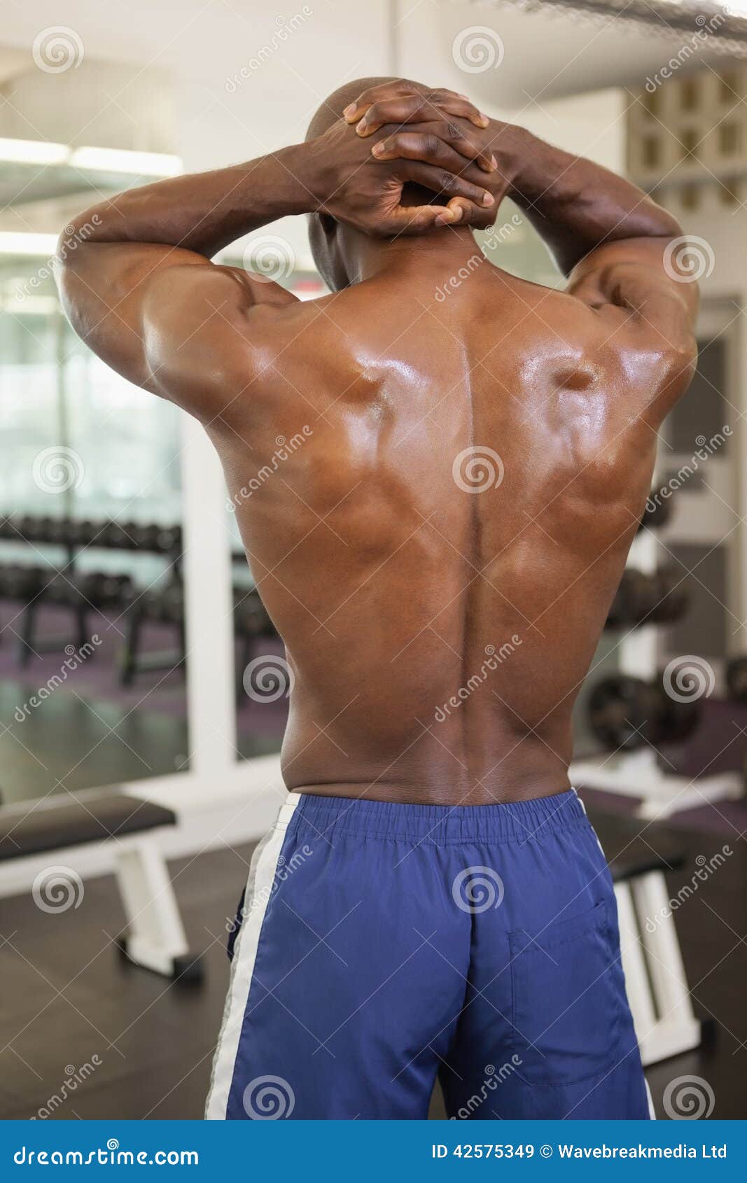 Rear View of a Shirtless Bodybuilder Stock Image - Image of rear, shape ...
