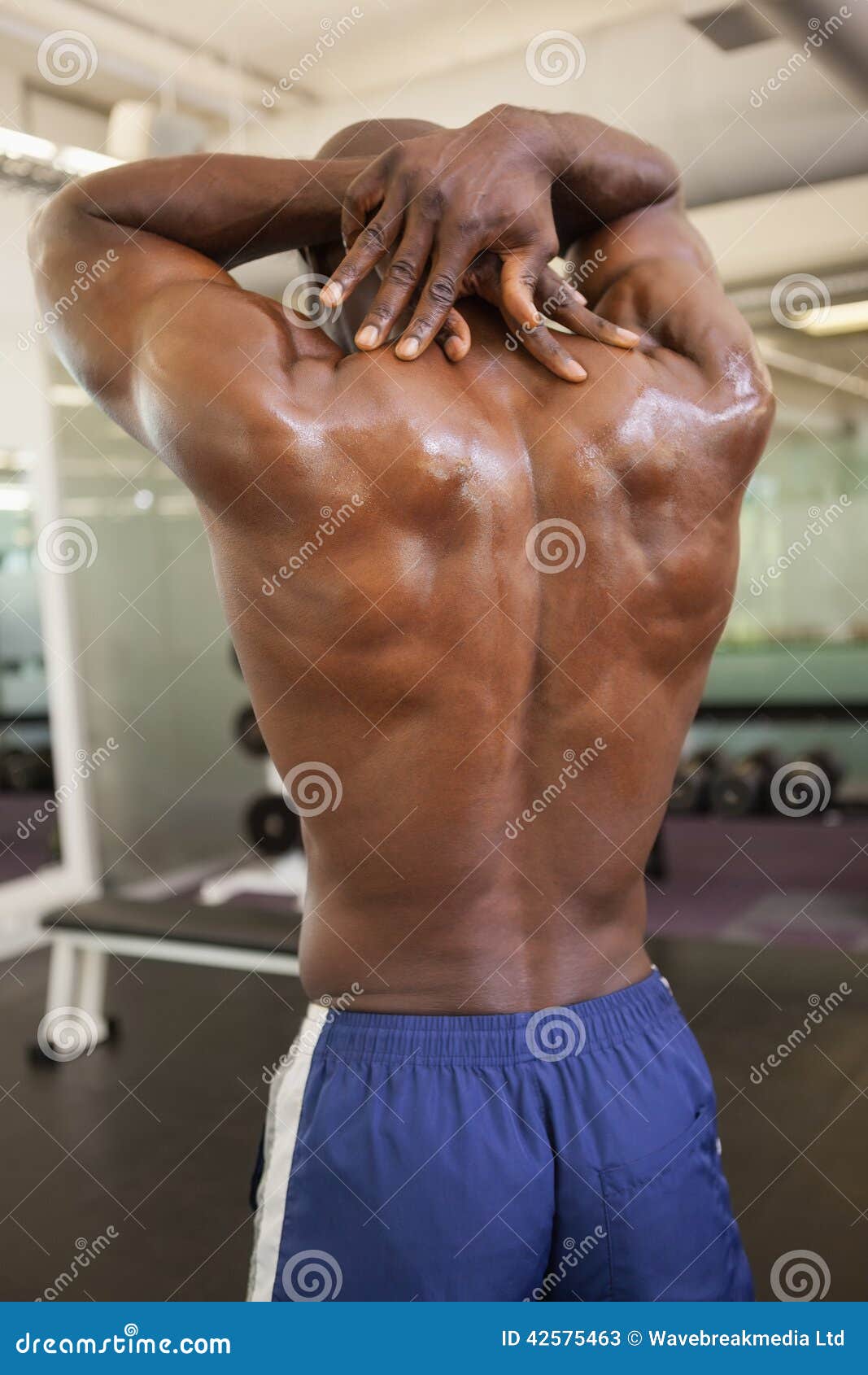 Rear View of a Shirtless Bodybuilder Stock Image - Image of length ...