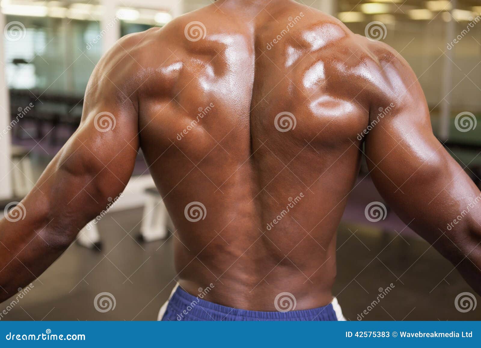 Rear View of a Shirtless Bodybuilder Stock Image - Image of closeup ...