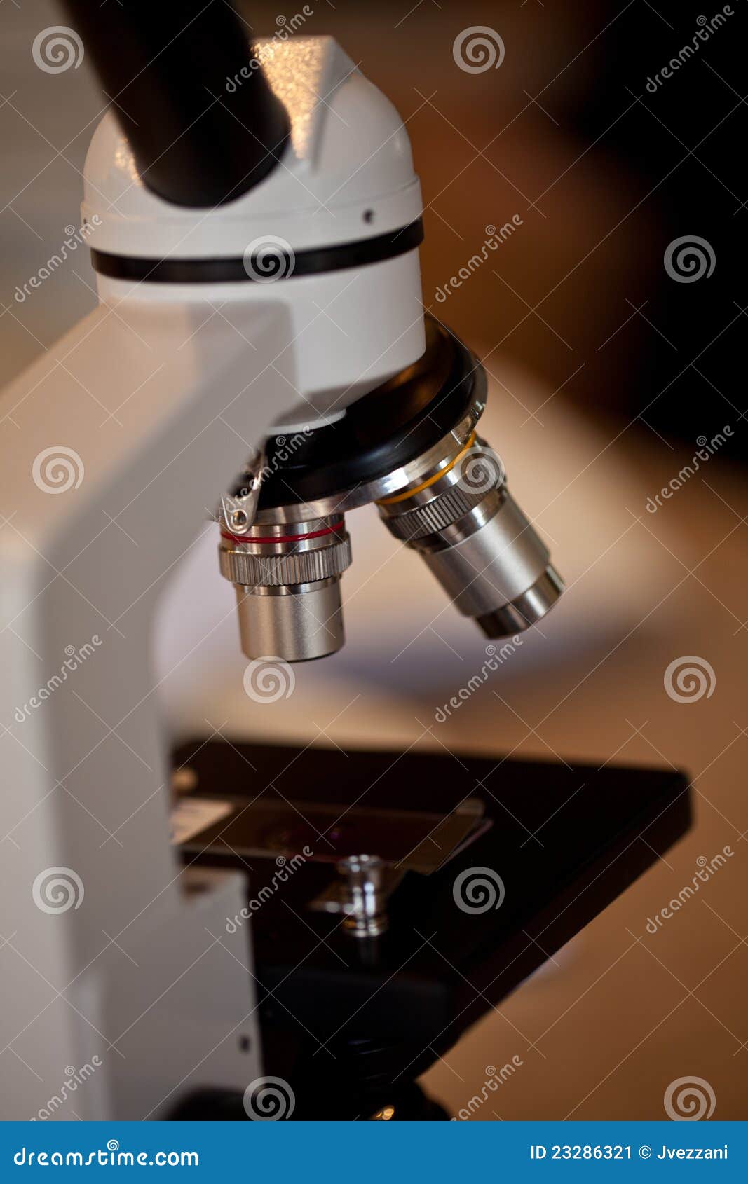 Rear View of Student Microscope in Biology Lab Stock Image - Image of ...