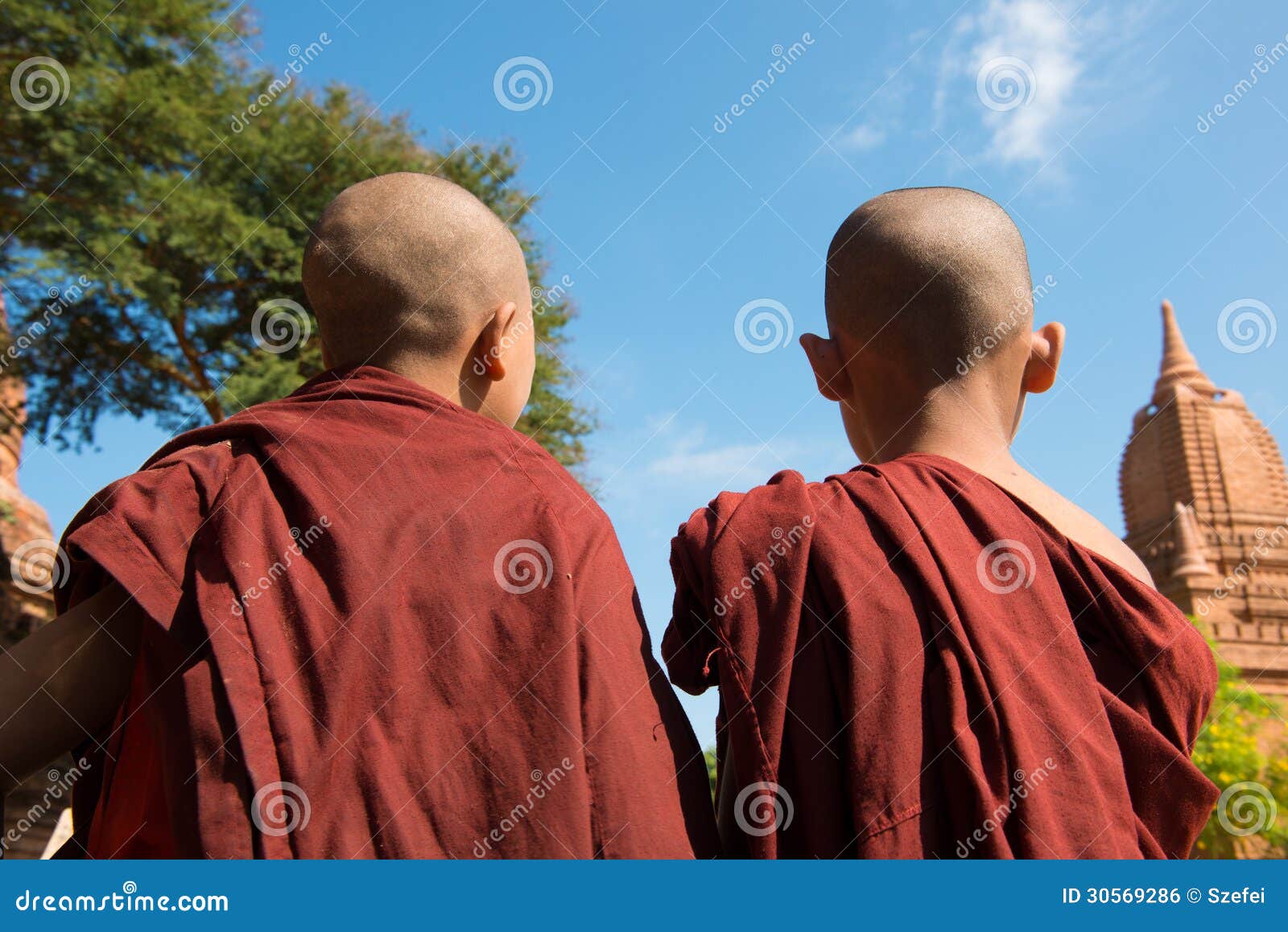 Rear View of Two Little Monks Stock Photo - Image of child, head: 30569286