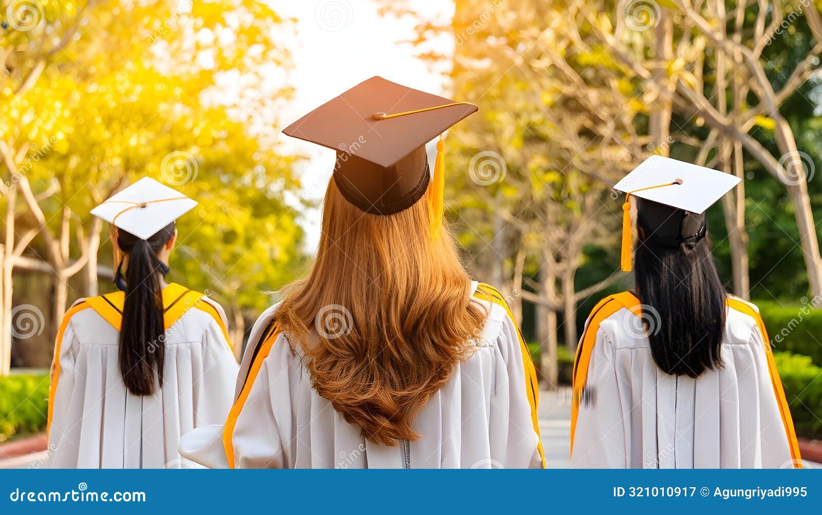 Rear View of University Student Graduate Stock Illustration ...