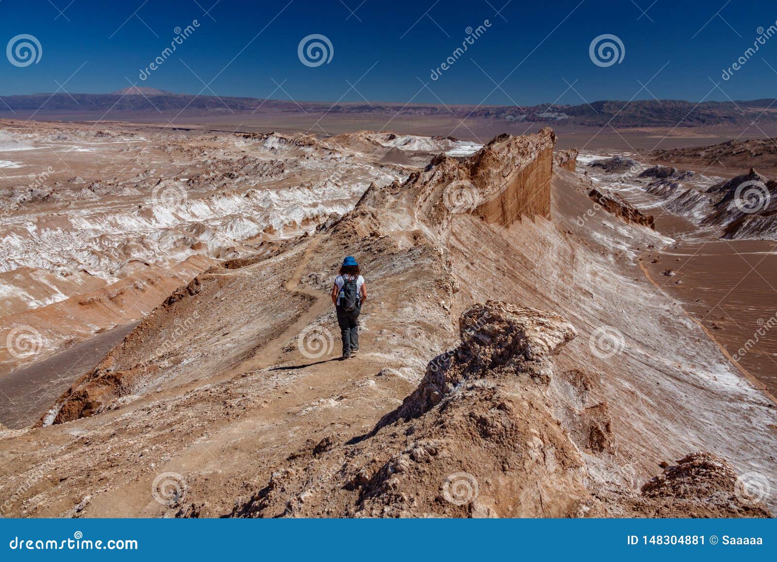 Rear View Of Unrecognizable Woman Walking Into The Desert Editorial