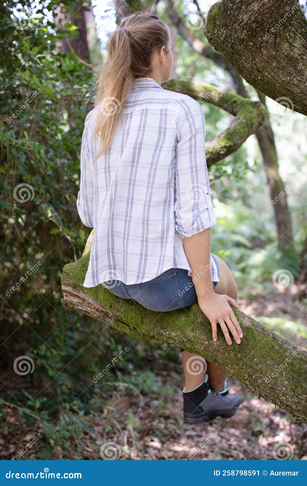 Rear-view Woman Sitting on Tree Branch Stock Image - Image of green ...