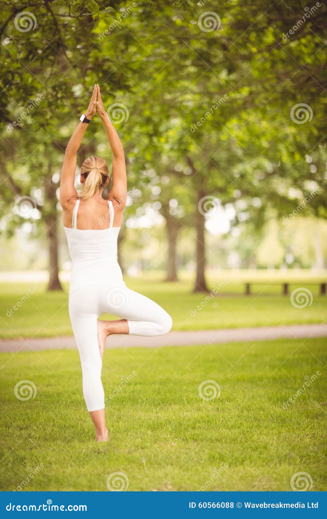 Rear View of Woman Standing in Tree Pose Stock Photo - Image of ...