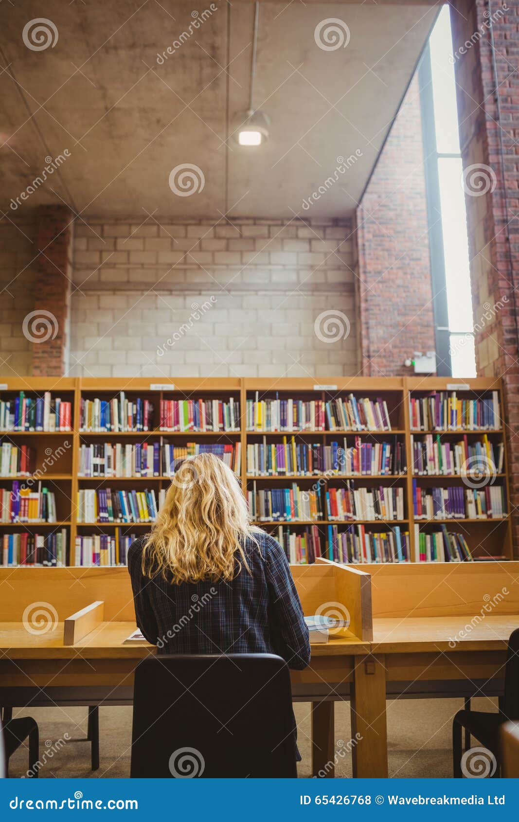 Rear View of Woman Studying Stock Photo - Image of research ...