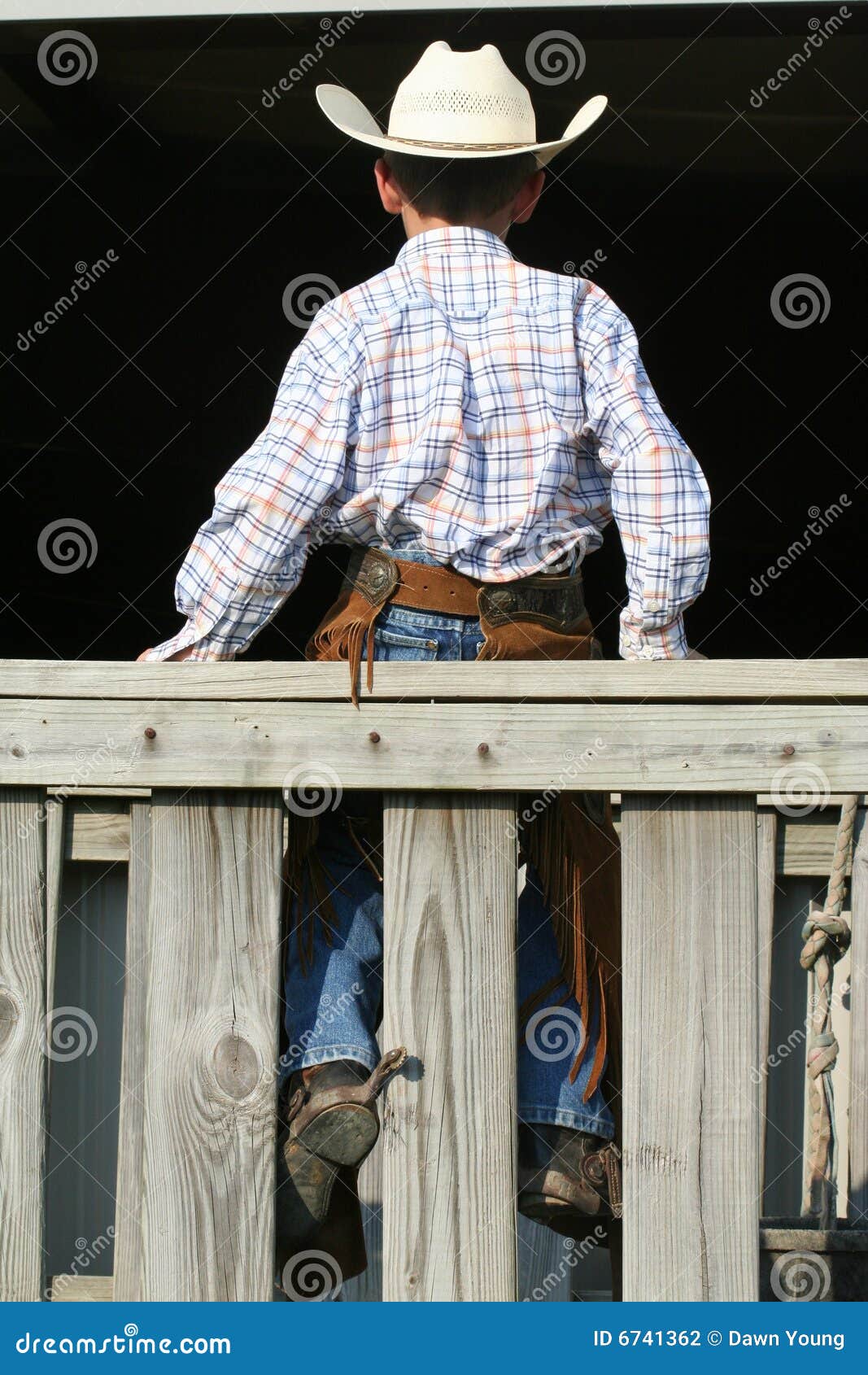 Rear view of young cowboy stock photo. Image of male, outdoor - 6741362