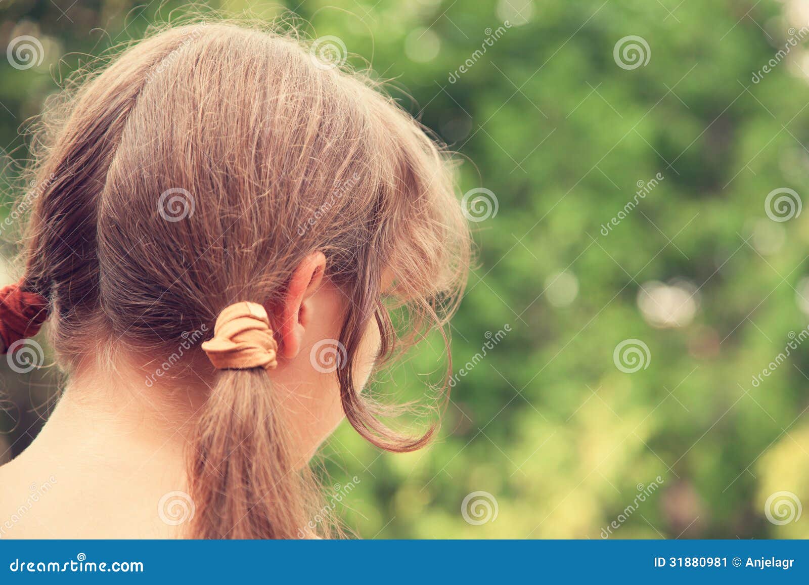 Rear View of Young Woman with Two Ponytails Stock Image - Image of girl ...