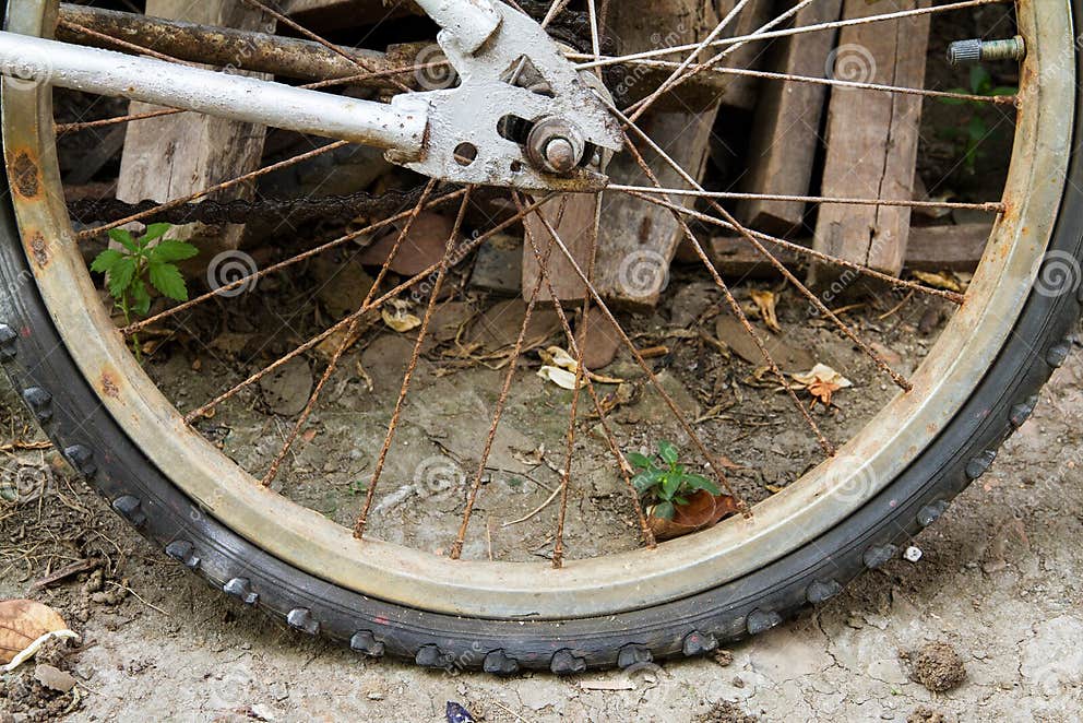 The Rear Wheel Flat Tire of the Bicycle Stock Photo - Image of rear ...
