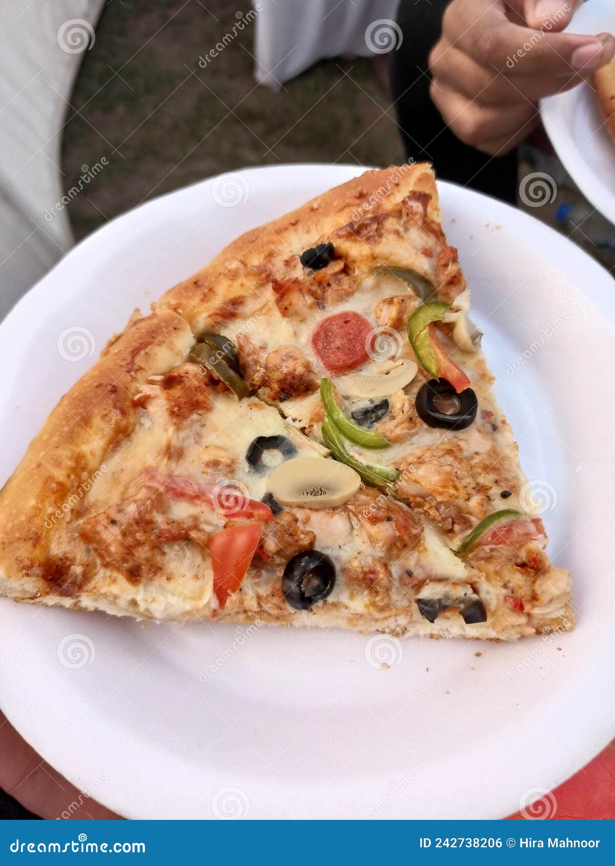 Rebanada De Pizza En Un Plato Foto de archivo - Imagen de pescados ...