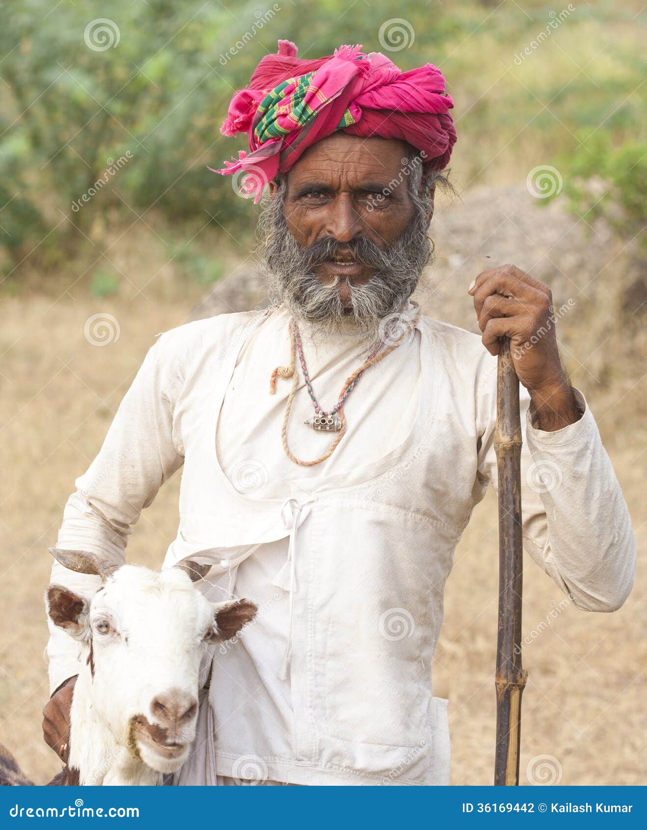 Rebari人 图库摄影片. 图片 包括有 种族, 印第安语, 人们, 无罪, 山羊, 牧者, 偶然, 愉快 - 36169442