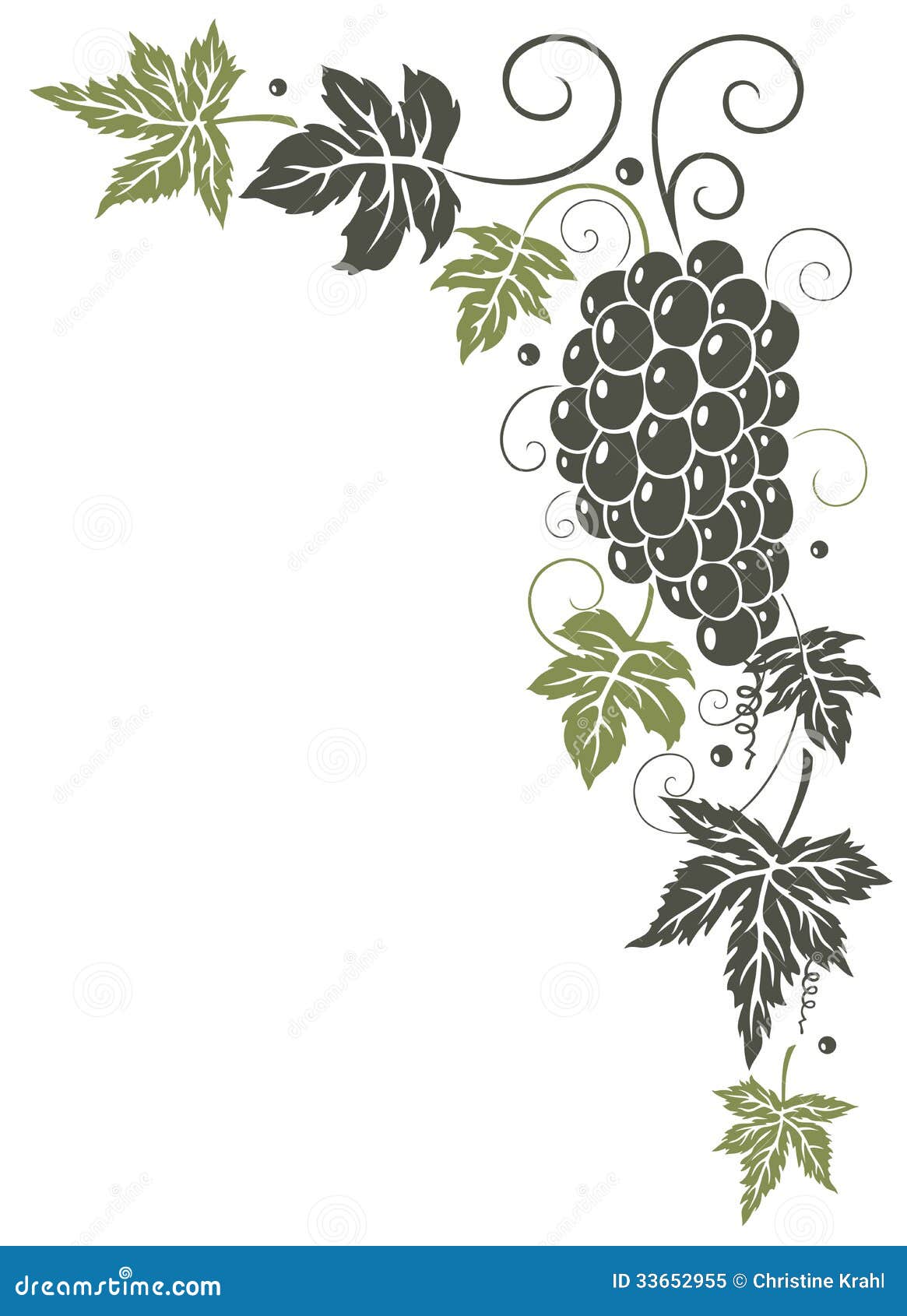 Rebe, Blätter, Trauben vektor abbildung. Illustration von frech - 33652955