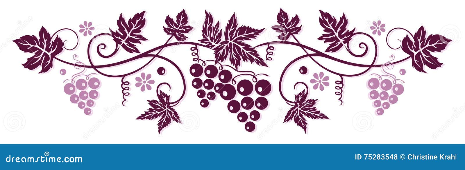 Rebe mit Trauben vektor abbildung. Illustration von pflanzen - 75283548