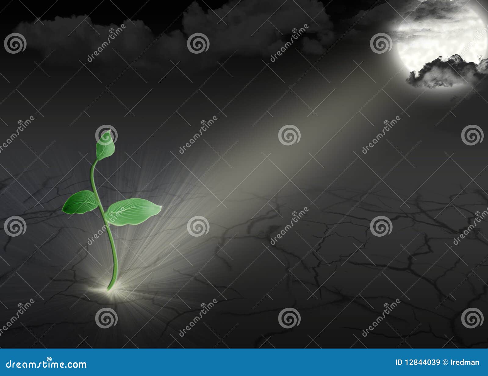 Rebirth stock illustration. Illustration of green, plant - 12844039